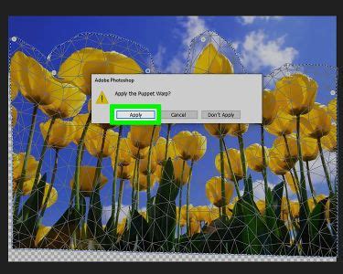 Learning To Use Adobe Photoshop How To Articles From WikiHow
