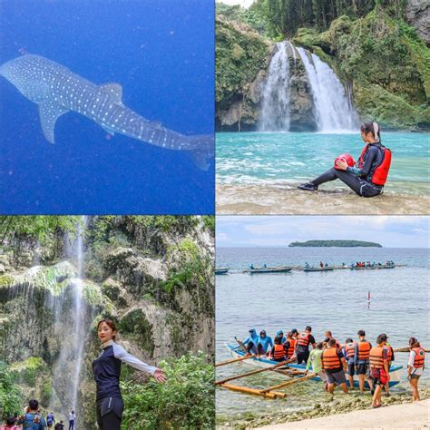 필리핀 세부 캐녀닝 투어 오슬롭 고래상어 단독 패키지 후기 네이버 블로그