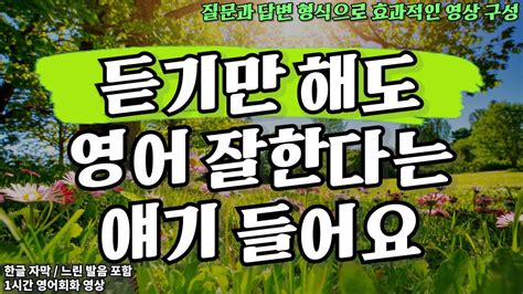 듣기만 해도 영어 잘한다는 얘기 들어요 I 원어민 실전회화 I 1시간 회화 영상 I 한글발음포함 I 출퇴근길 영어회화 Youtube