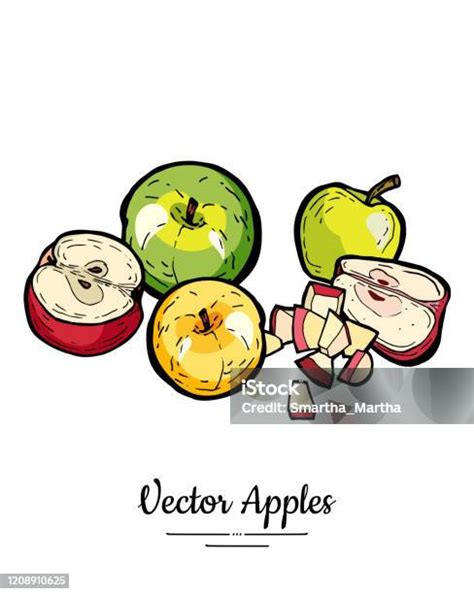 사과 벡터 절연 세트 레드 그린 옐로우 과일 손으로 그린 일러스트 트렌디 한 음식 채식 메뉴 과일 로고 아이콘 0명에 대한 스톡 벡터 아트 및 기타 이미지 Istock
