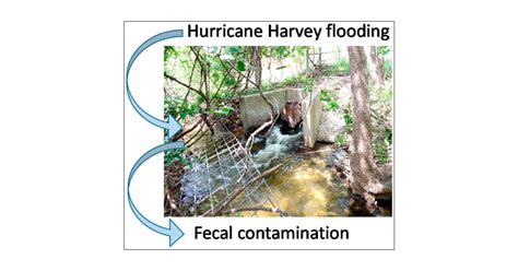 Real Time Quantitative Pcr Measurements Of Fecal Indicator Bacteria And Human Associated Source