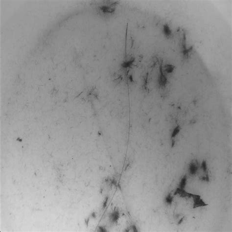 A Object Detection Dataset By Madusha