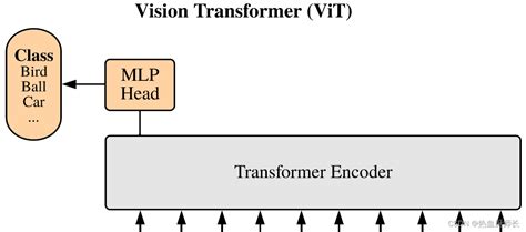 狗都能看懂的vision transformer的讲解和代码实现 vision transformer代码 csdn博客