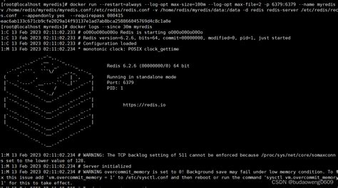 史上最详细Docker安装Redis 含每一步的图解实战 redis密码重置相关 docker 安装redis CSDN博客