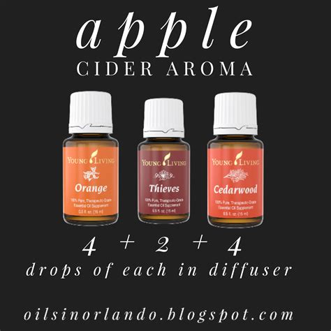 Oils In Orlando Spiced Apple Cider Diffuser Recipe