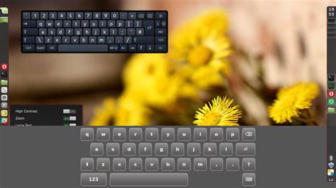 3 4 Launching On Screen Keyboard Via Accessibility Applet Or