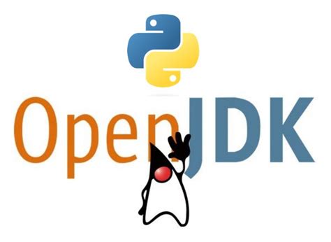openjdk 패키지를 python으로 설치하기