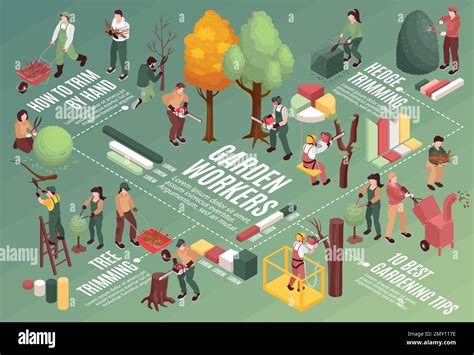 Garden Workers Flowchart With Trimming Tips Symbols Isometric Vector Illustration Hi Res Stock