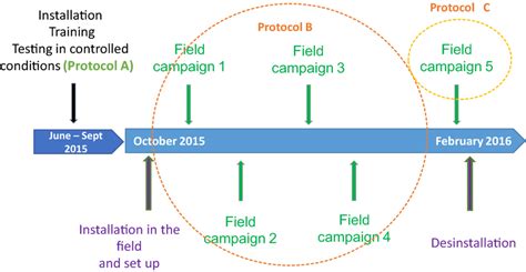 Schematic Outline Of The Testing Download Scientific Diagram
