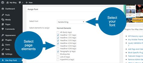 How To Use A Custom Font On Your Wordpress Website Greengeeks