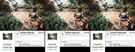 avif vs webp which image format reigns supreme