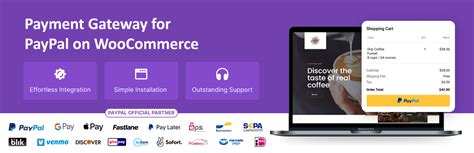 Payment Gateway For Paypal On Woocommerce Plugin —