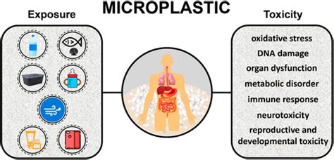 Potential Health Impact Of Microplastics A Review Of Environmental