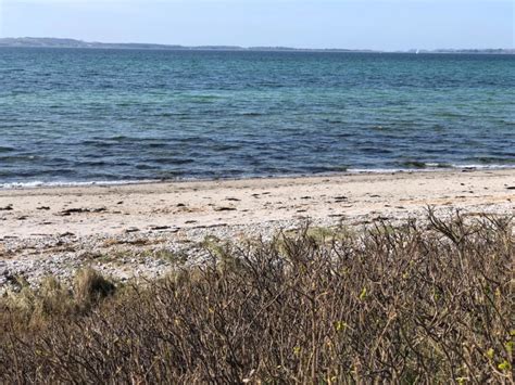 Området Ahl Lejrskole