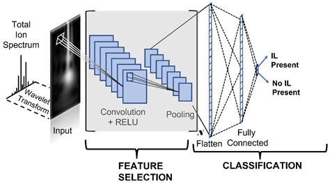 Chemosensors Free Full Text Convolutional Neural Network Applications In Fire Debris