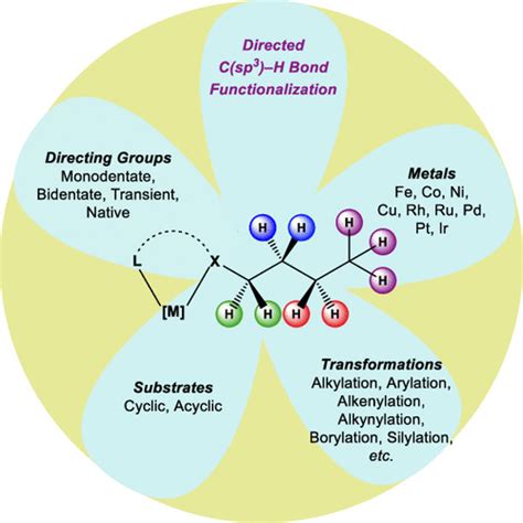 Transition Metal Catalyzed Coordination Assisted Functionalization Of Nonactivated Csp3h