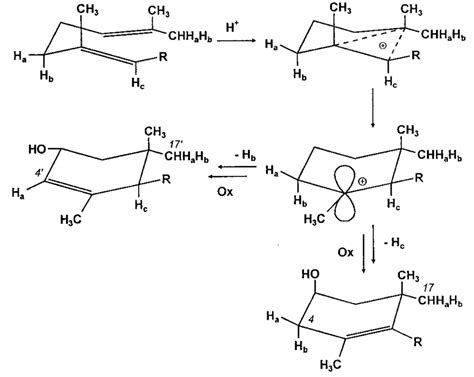 Biosynthetic Origin Of Hydrogen Atoms In Geranylgeranyl Pyrophosphate Download Scientific