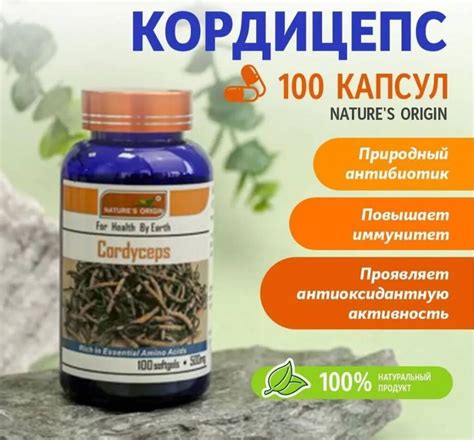 Магазин здоровья |🐉 Китайская медицина | Кордицепс капсулы — уникальный ...