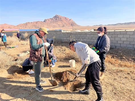 🌱🌳Өнөөдөр Үндэсний мод тарих өдөр тохиож байна