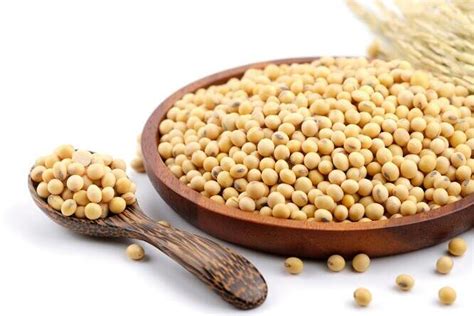 As Research Identifies New Soy Benefits Market Poised For Significant Growth Food Science