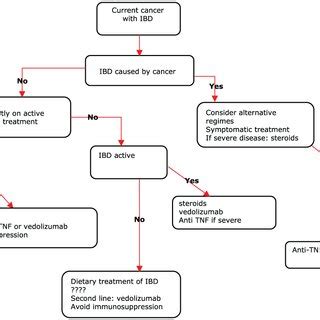 Suggested Algorithm In IBD And Previous Cancer IBD Inflammatory Bowel Download Scientific