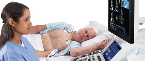 Exercise Stress Echocardiogram One Heart Cardiology