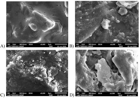 Freeze Drying Microencapsulation Of Turmeric Curcuma Longa L Using