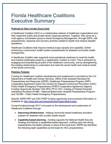 Executive Summary 100 Examples Format Pdf Examples