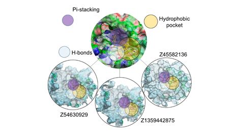 Pooja Deshmukh Posted On Linkedin