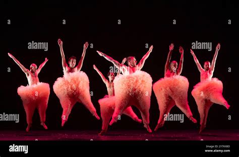 Sadlers Wells Peacock Theatre London Uk 30 September 2024 Chicos Mambo Tutu 1 5 October