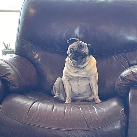 Addy Williams Youtube