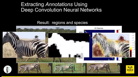 Crowdsourcing Computer Vision And Data Science For Conservation
