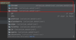 Selenium Python Tutorial For Beginners