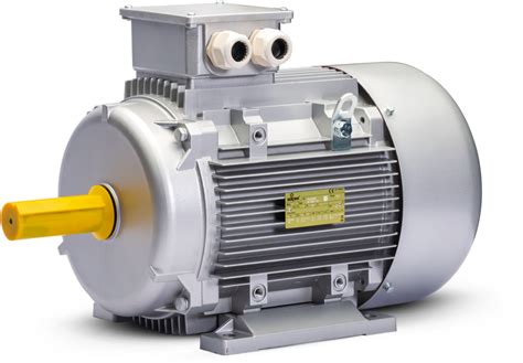 Three Phase Asynchronous Motors For Sale Seipee SPA