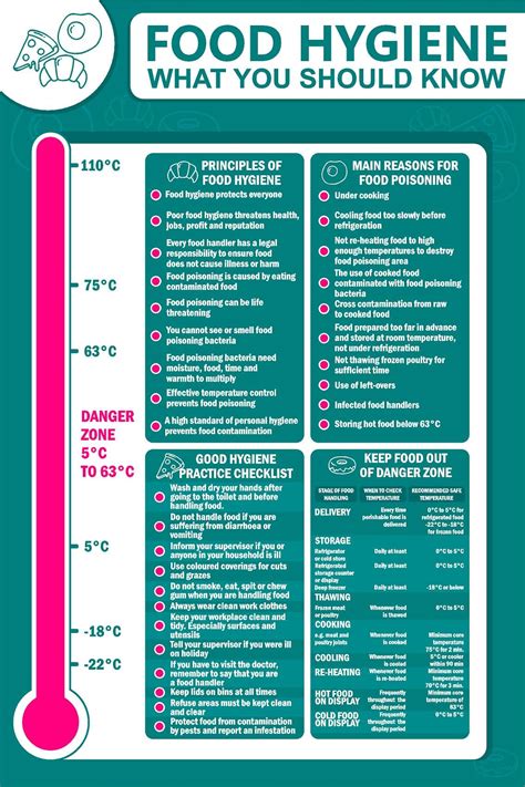 Food Hygiene Poster What You Should Know Kitchen Safety Sign Desertcart Hong Kong