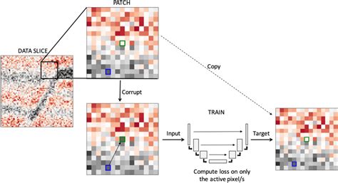 Figure From The Potential Of Self Supervised Networks For Random Noise Suppression In Seismic