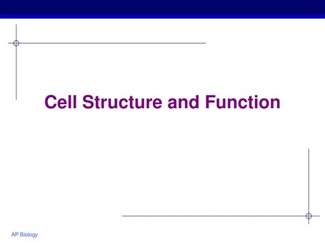 Cell Structure and Function - ppt download
