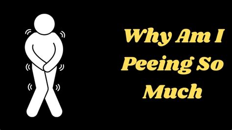 Why Am I Peeing So Much 0915 Alpesh Creation 01