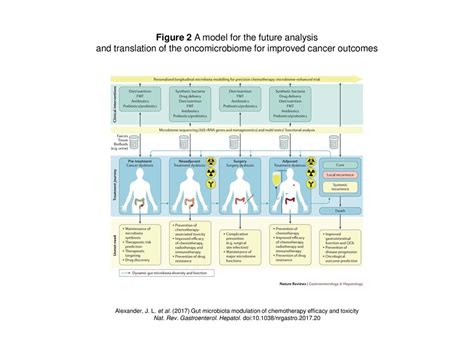 figure 2 a model for the future analysis ppt download