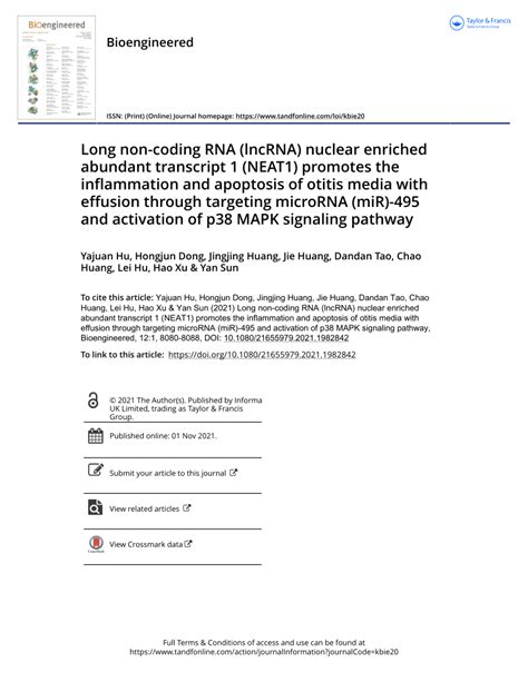 PDF Long Non Coding RNA LncRNA Nuclear Enriched Abundant Transcript NEAT Promotes The