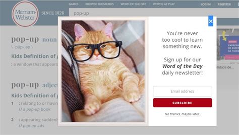 How To Add A Popup Form In WordPress Like A Pro MightyForms