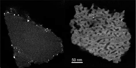 Representative Cross Section Slices From Stem Tomogram Of Ru Ac Left