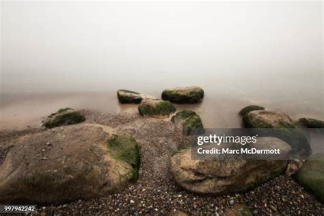 Marc Mcdermott Photos And Premium High Res Pictures Getty Images