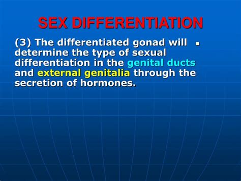 Ppt Genital System Powerpoint Presentation Free Download Id6525714 Ppt Genital System Powerpoint Presentation Free Download Id6525714