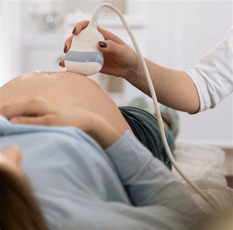 Échographie Morphologique