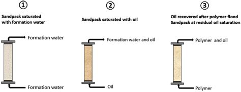 Schematic Of Experimental Flood Procedure Download Scientific Diagram