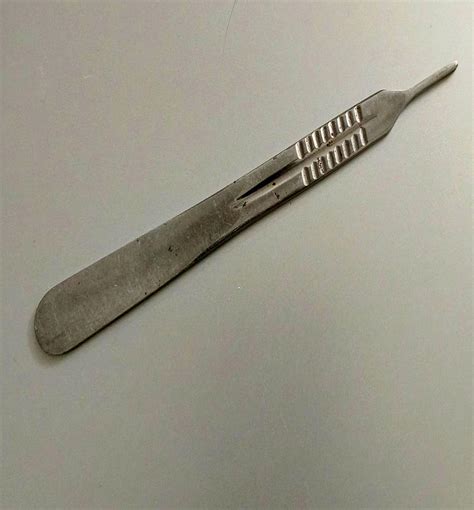 scalpel instance segmentation dataset by s