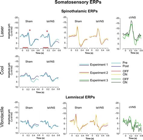 Erp Waveforms Each Diagram Represents The Erps Obtained At Group Level Download Scientific