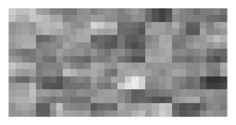 Extracted Features A Input B Visualization Of Feature In Conv1 Download Scientific