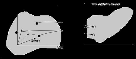 Multi Objective Optimization From Decision Space To Objective Space